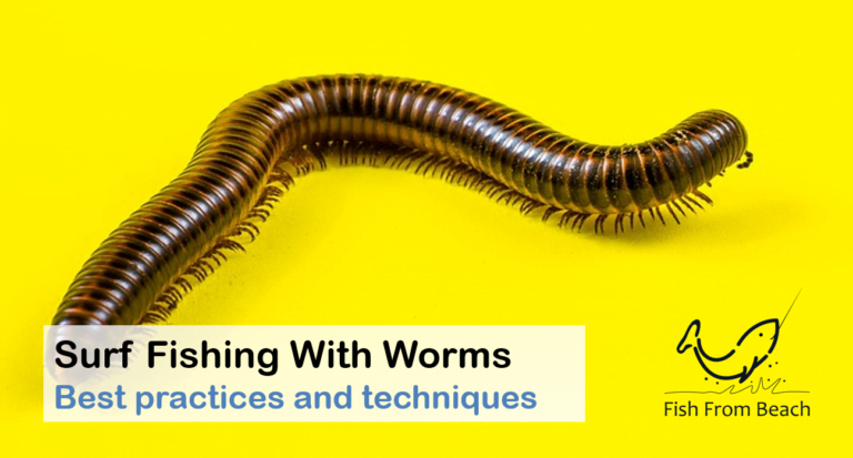 The Complete Guide To Surf Fishing With Worms – Fish From Beach