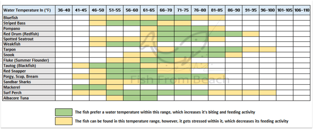 The Best Water Temperature For Surf Fishing – Fish From Beach