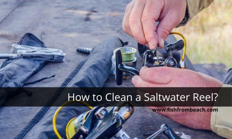 How to Clean your Reel After Saltwater Fishing ? – Fish From Beach