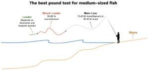 What is the Best Line Weight (Pound Test) for Surf Fishing?