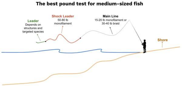What is the Best Line Weight (Pound Test) for Surf Fishing?